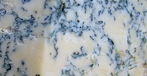 Queso azul | La guía de Biología